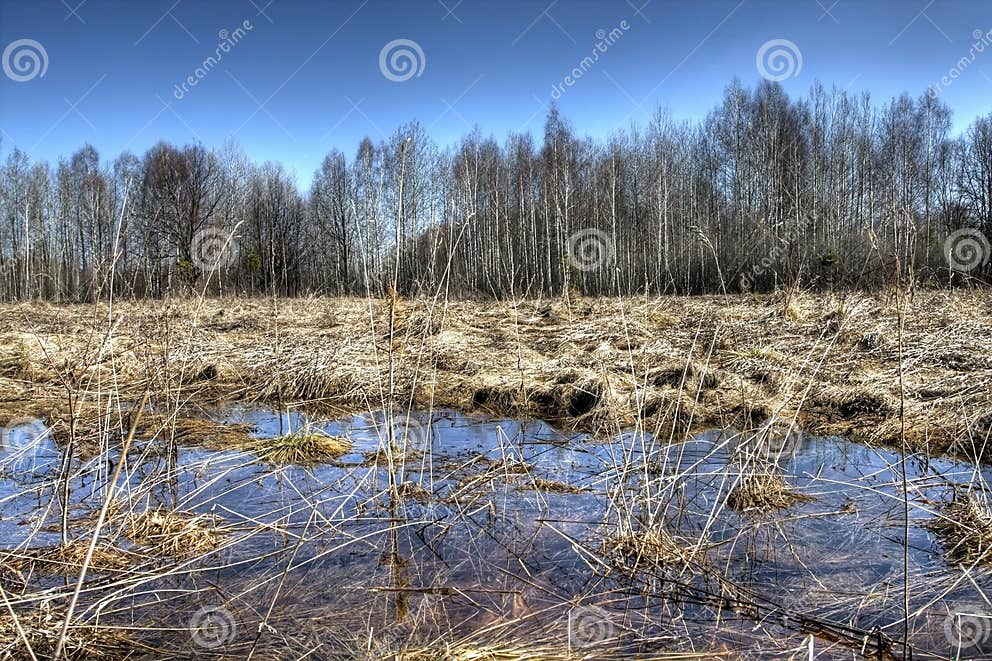 Spring stock image. Image of extreme, nature, north, rustic - 14313369