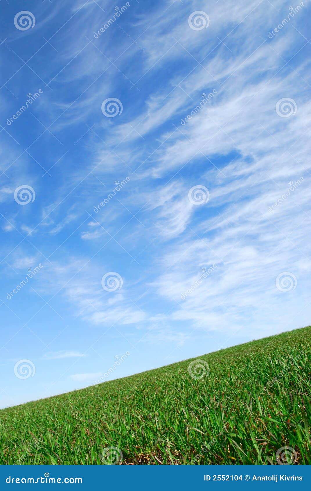 Spring stock photo. Image of heaven, field, grass, landscaped - 2552104