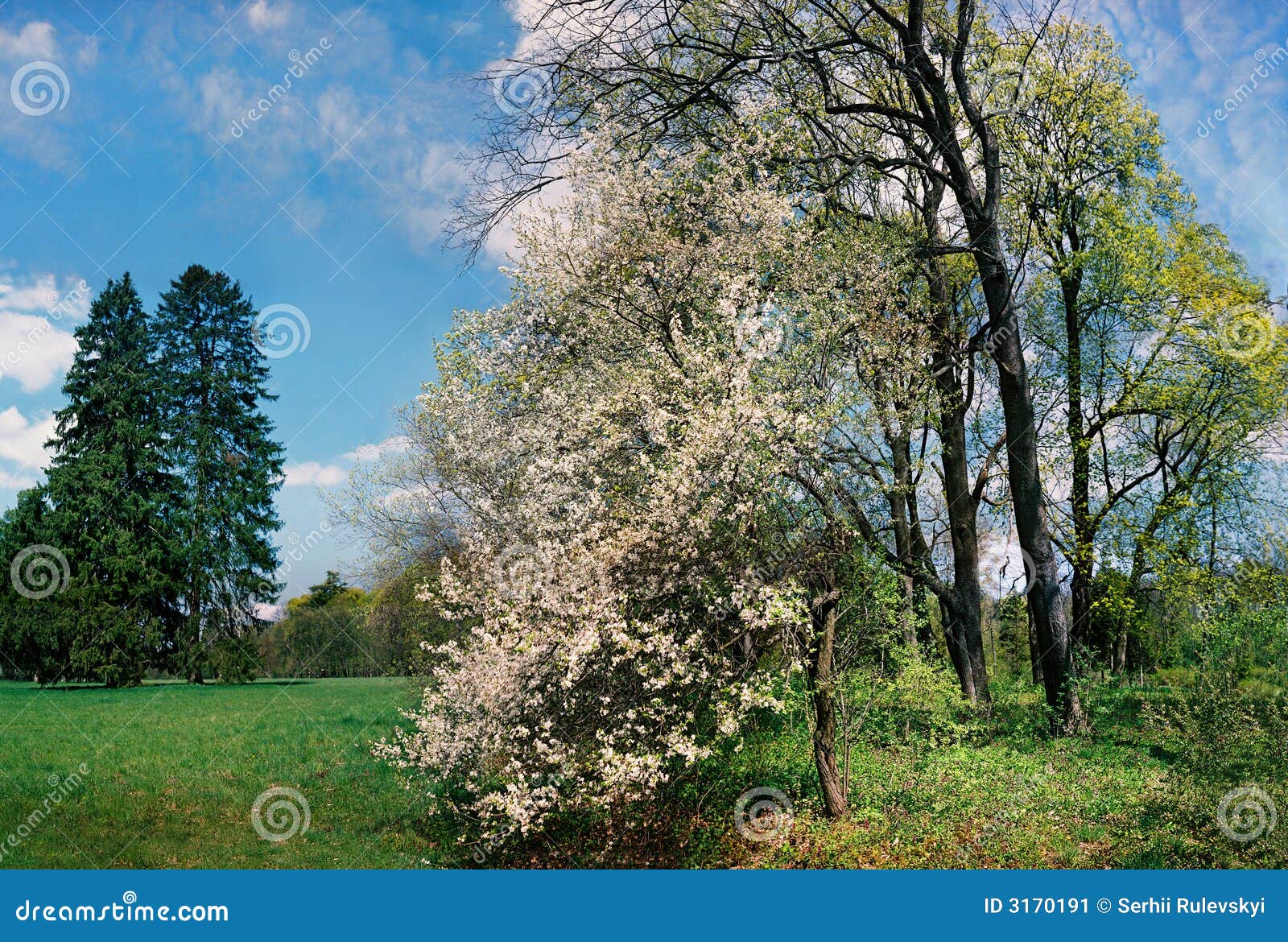 Spring. stock image. Image of heavenly, magnificence, horizon - 3170191