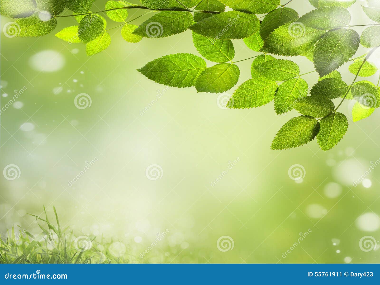 Spring abstract background stock image. Image of green - 55761911