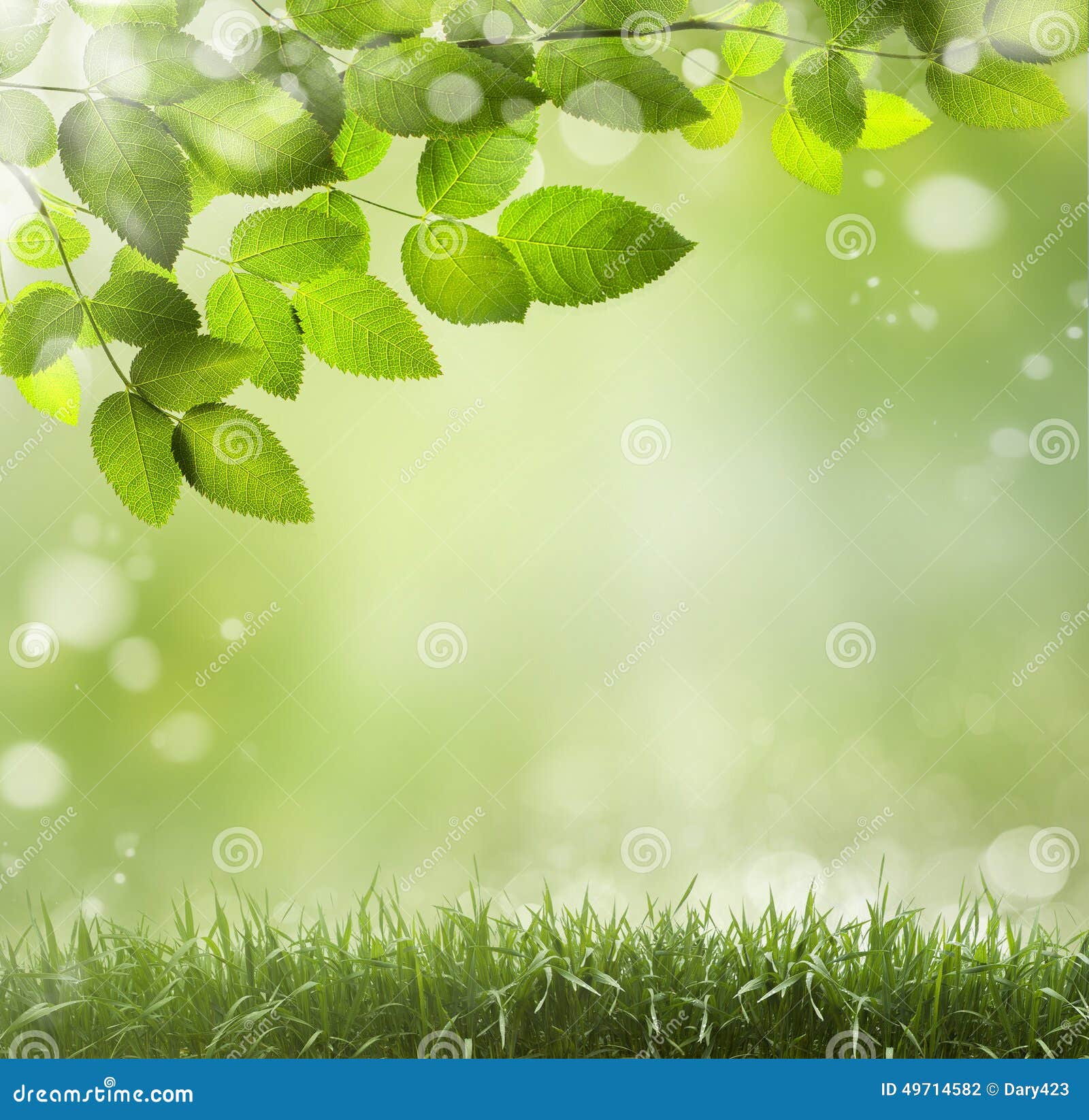 Spring abstract background stock photo. Image of frame - 49714582