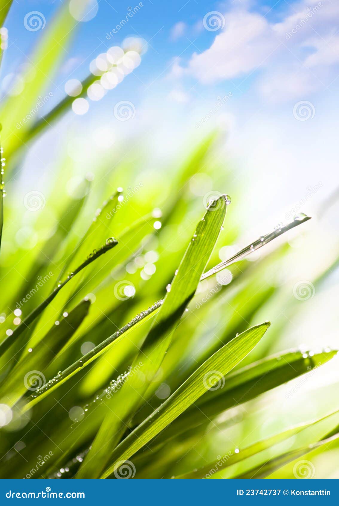 Spring Abstract Nature Background Stock Image - Image of natural ...