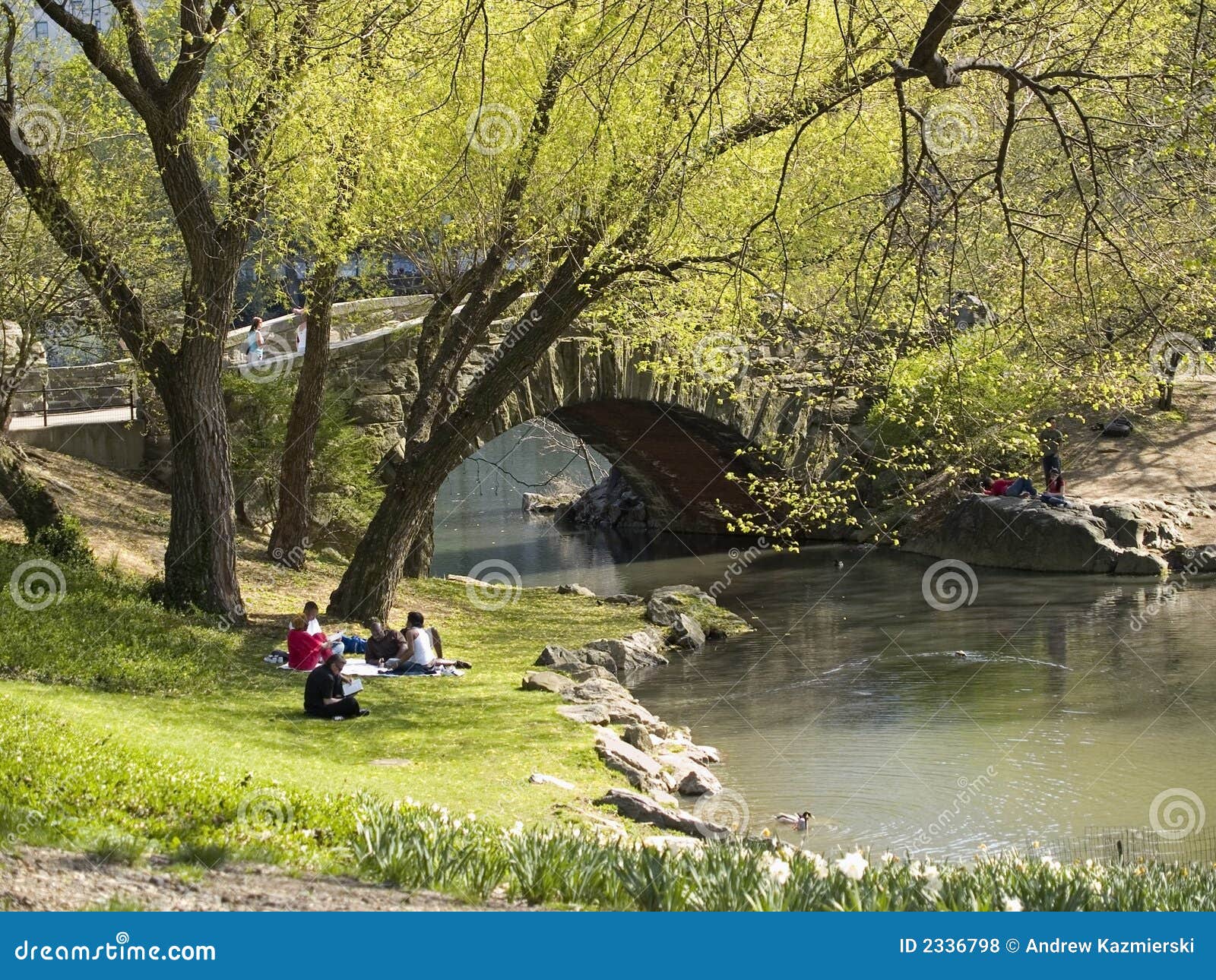 Spring Afternoon stock photo. Image of calm, york, peaceful - 2336798