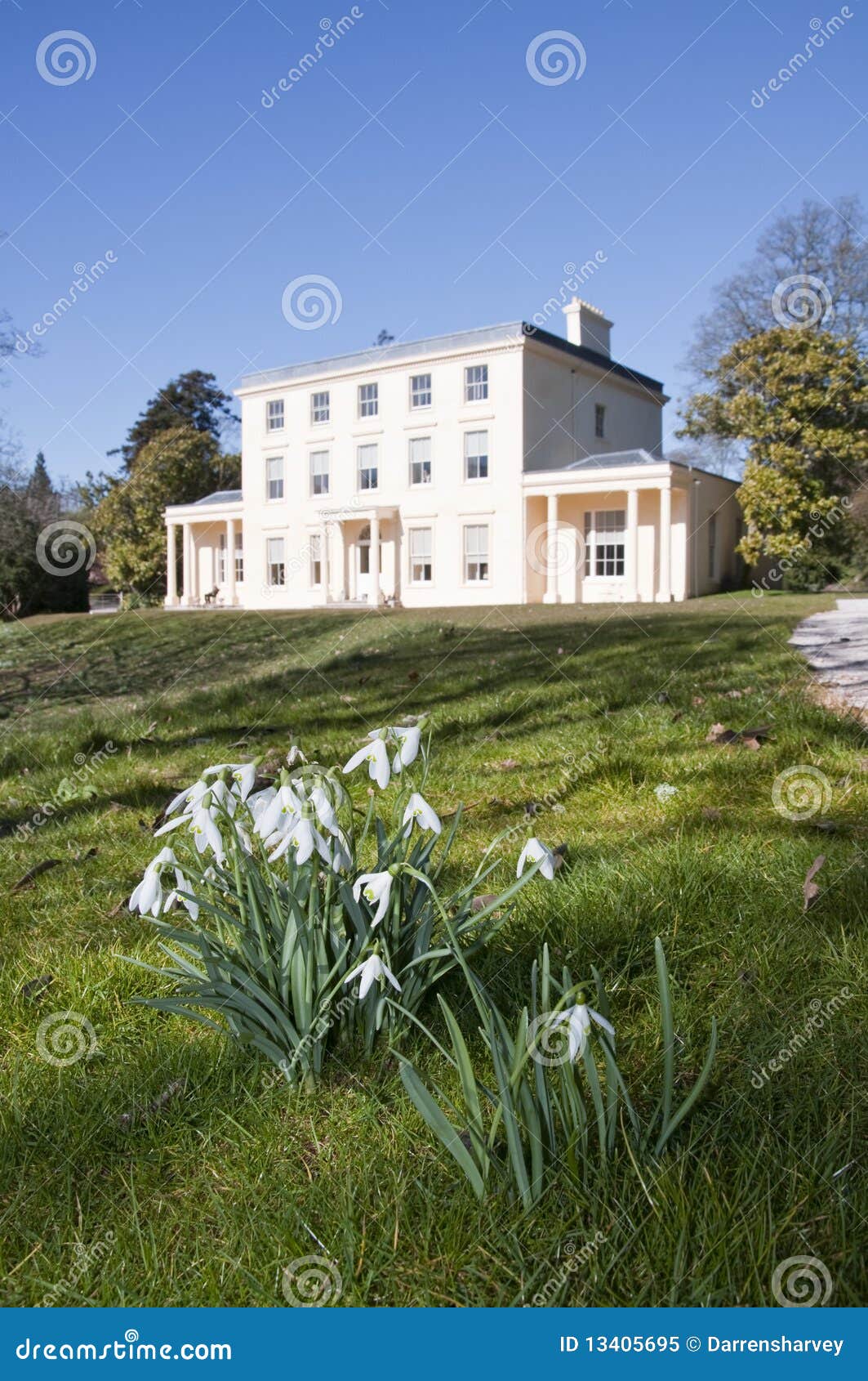 Spring at Agatha Christie S Greenway in Devon Editorial Image - Image ...