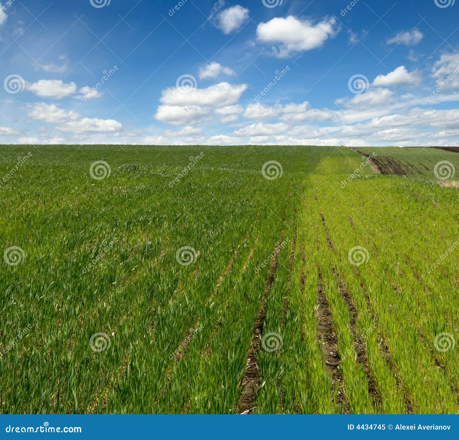Spring agriculture fields stock image. Image of environment - 4434745
