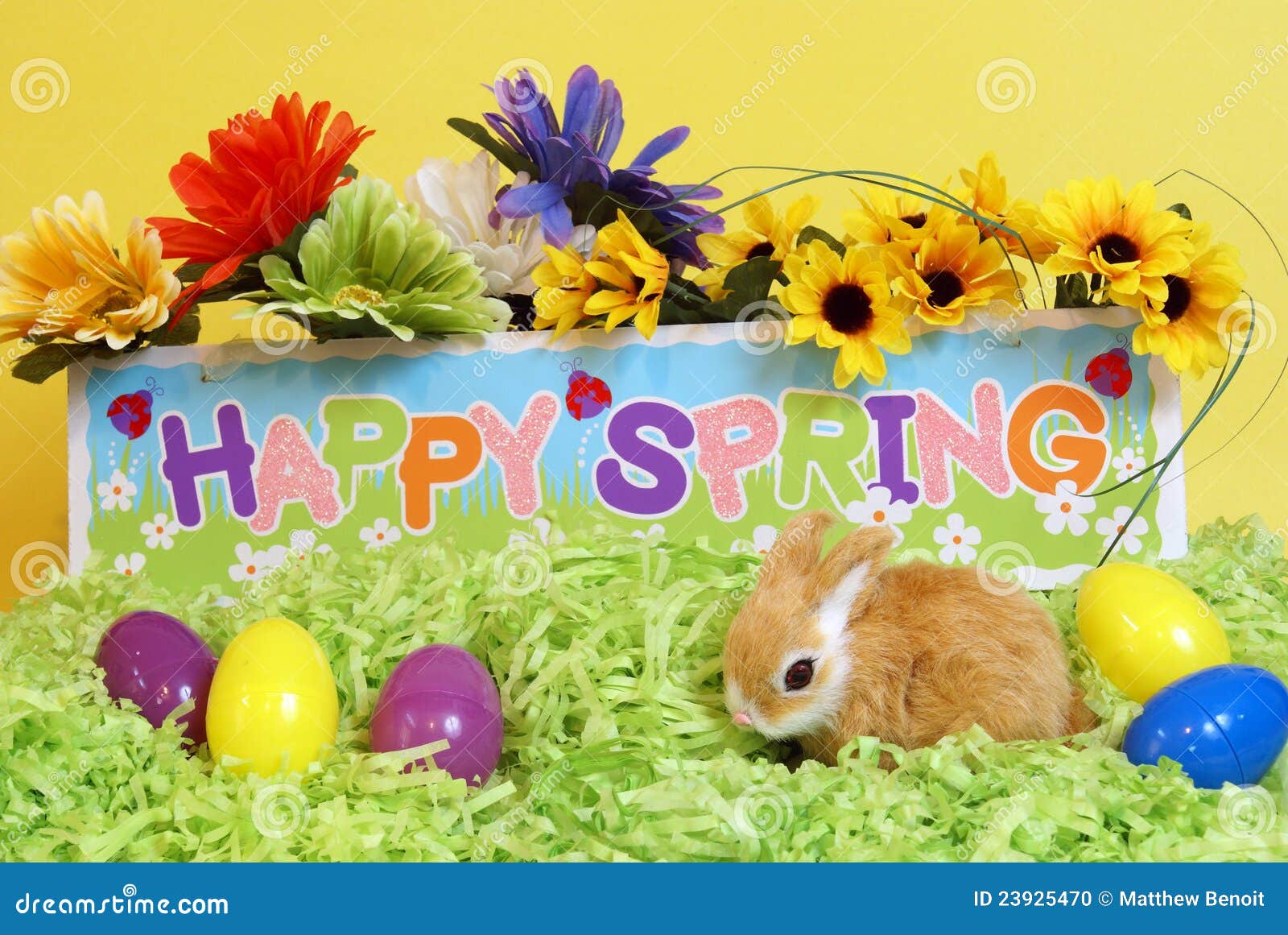 Spring is in the Air stock photo. Image of cute, celebration - 23925470