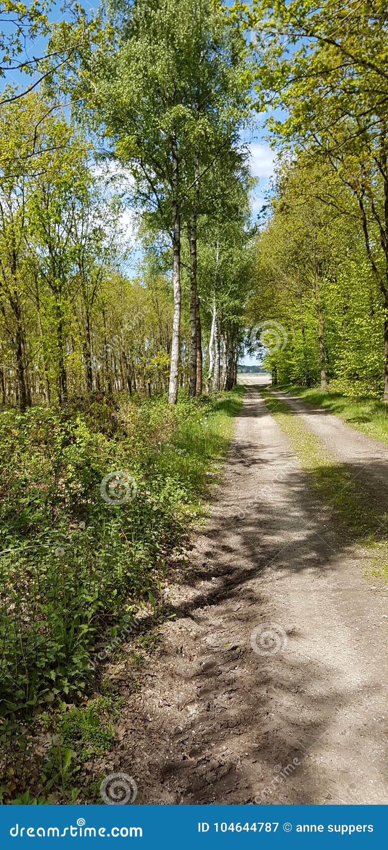 Path to infinity stock image. Image of spring, infinity - 104644787