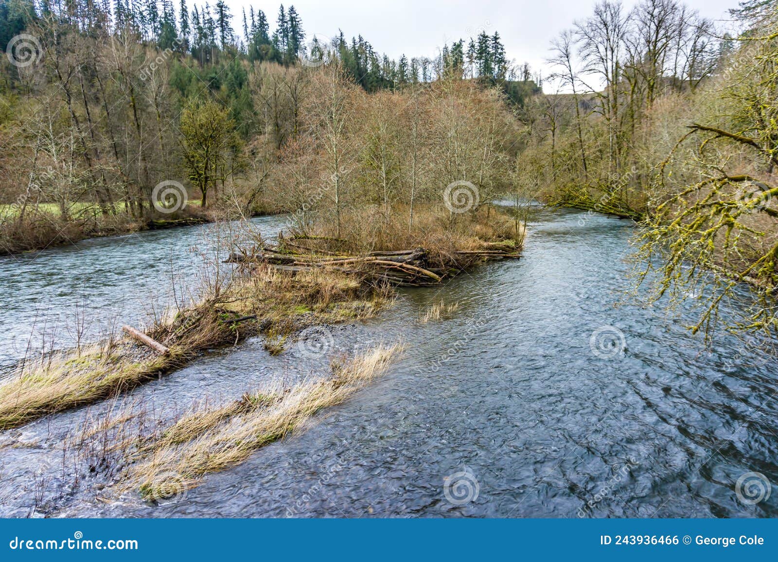 Spring Along the Green River 3 Stock Photo - Image of wild, washington ...