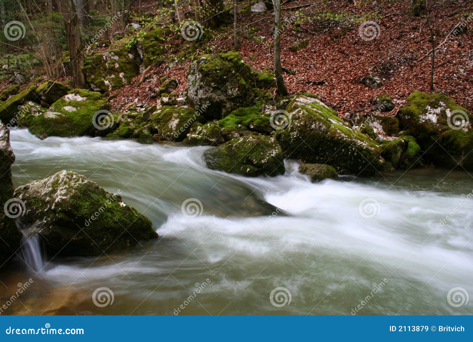 Spring Alpin River,Switzerland Stock Image - Image of mountain ...