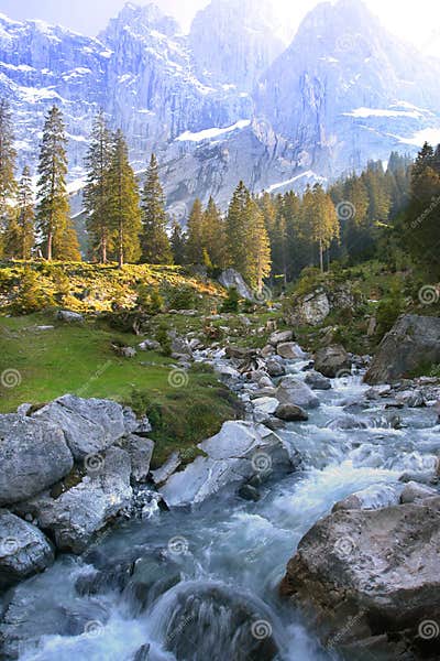 Spring alpine stream stock image. Image of natural, morning - 4606595