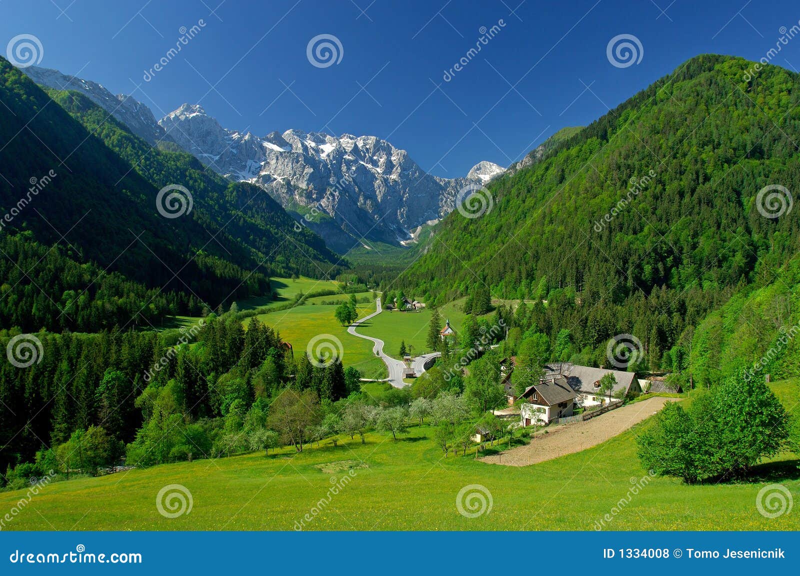 Spring in alpine valley stock photo. Image of vista, field - 1334008