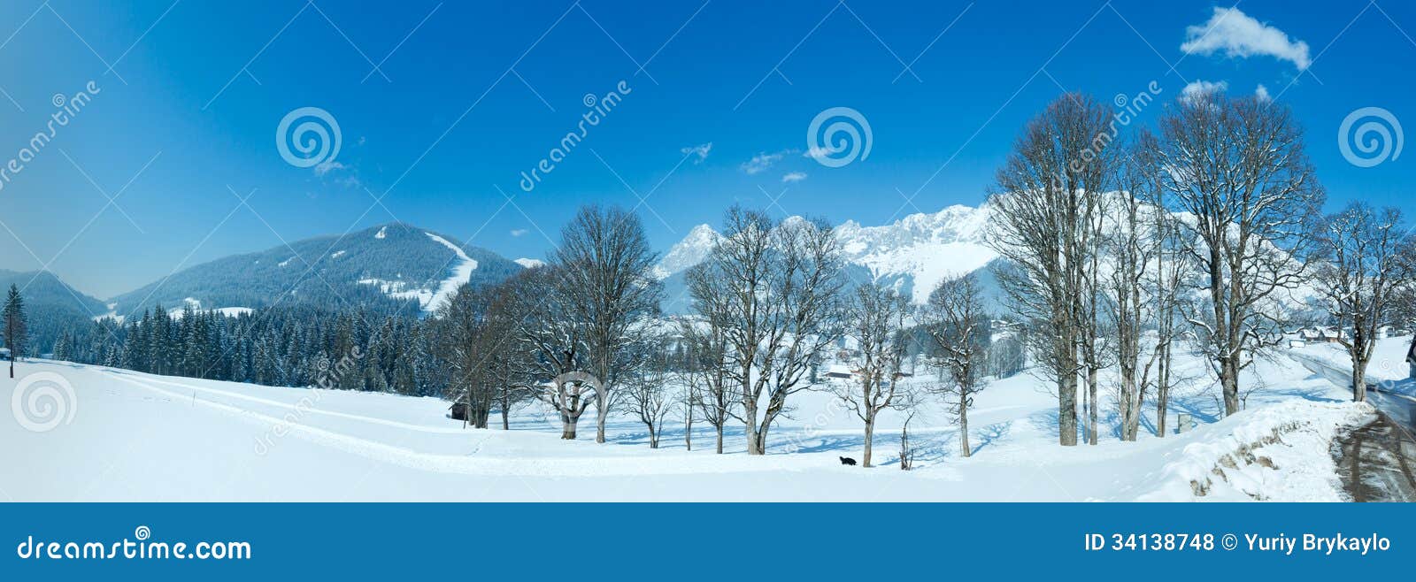 Spring Alpine Village in Austria. Stock Photo - Image of road, tree ...
