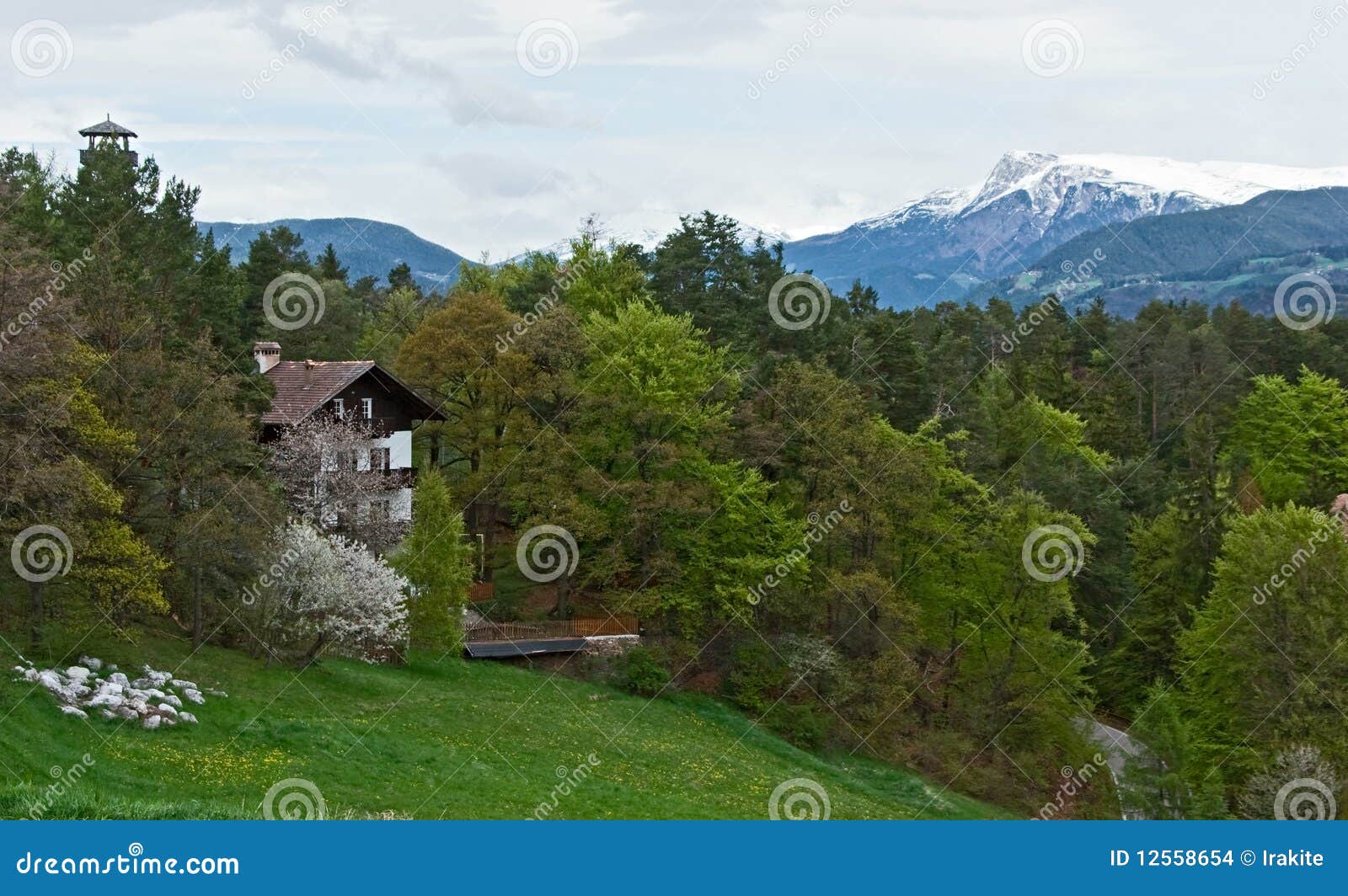 Spring in Alps stock photo. Image of dolomites, mountain - 12558654
