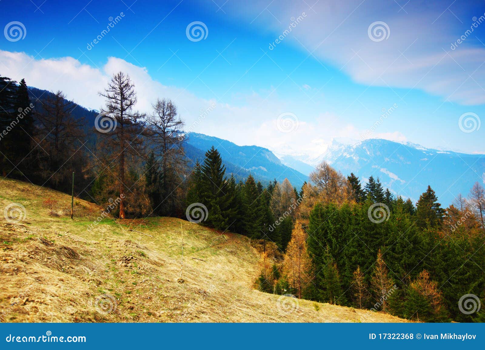 Spring alps stock photo. Image of grass, nature, blue - 17322368