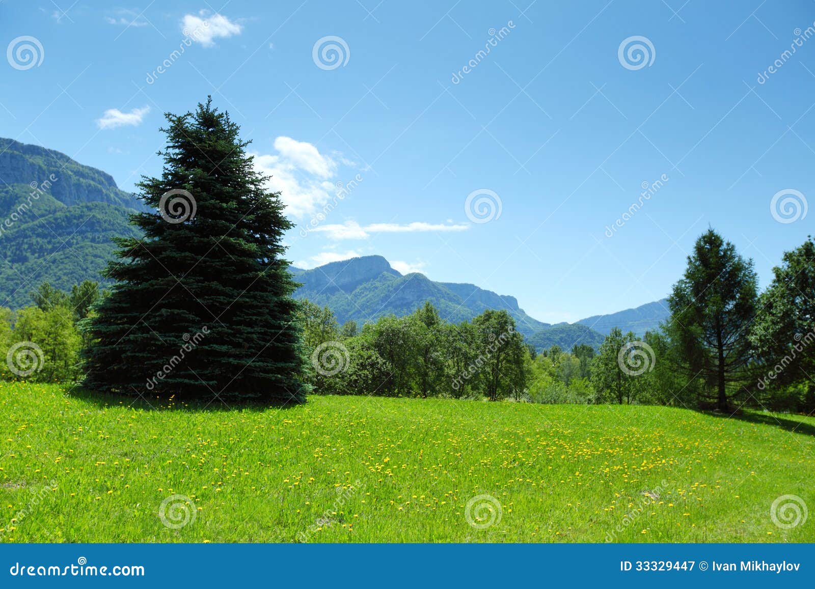 Spring alps stock image. Image of europe, meadow, beautiful - 33329447