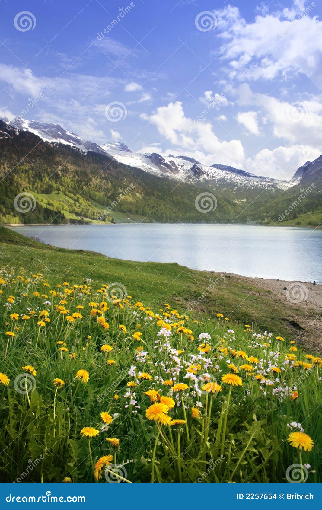 Spring in Alps, Switzerland Stock Photo - Image of obscurity ...
