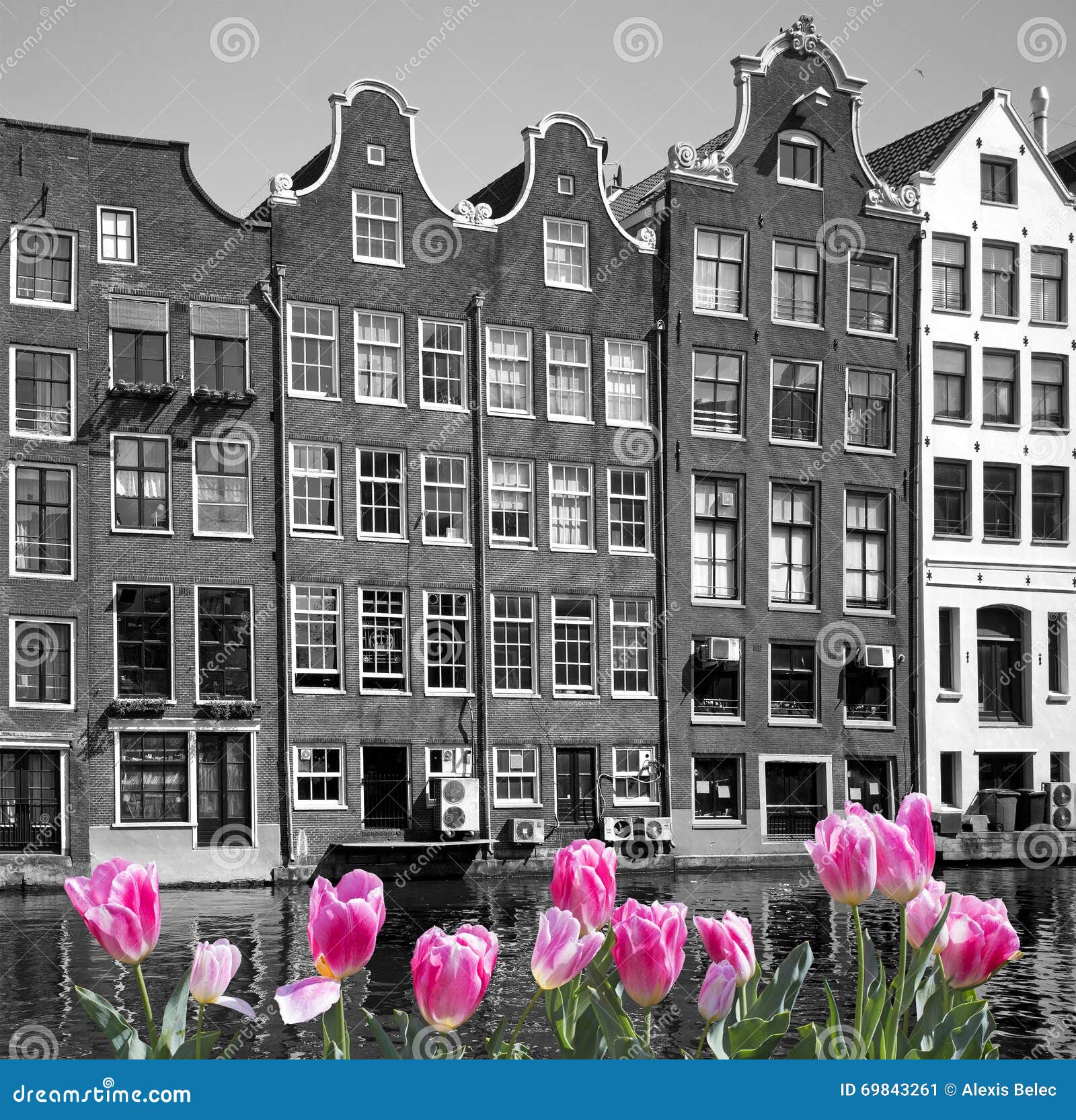 Spring in amsterdam stock image. Image of building, blooming - 69843261