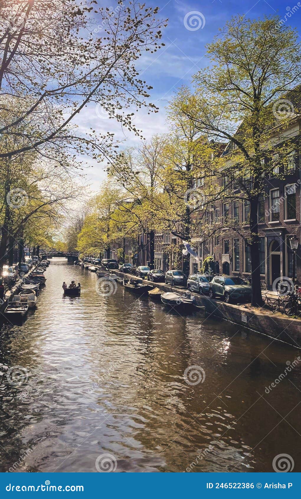 Spring in Amsterdam stock photo. Image of buildings - 246522386