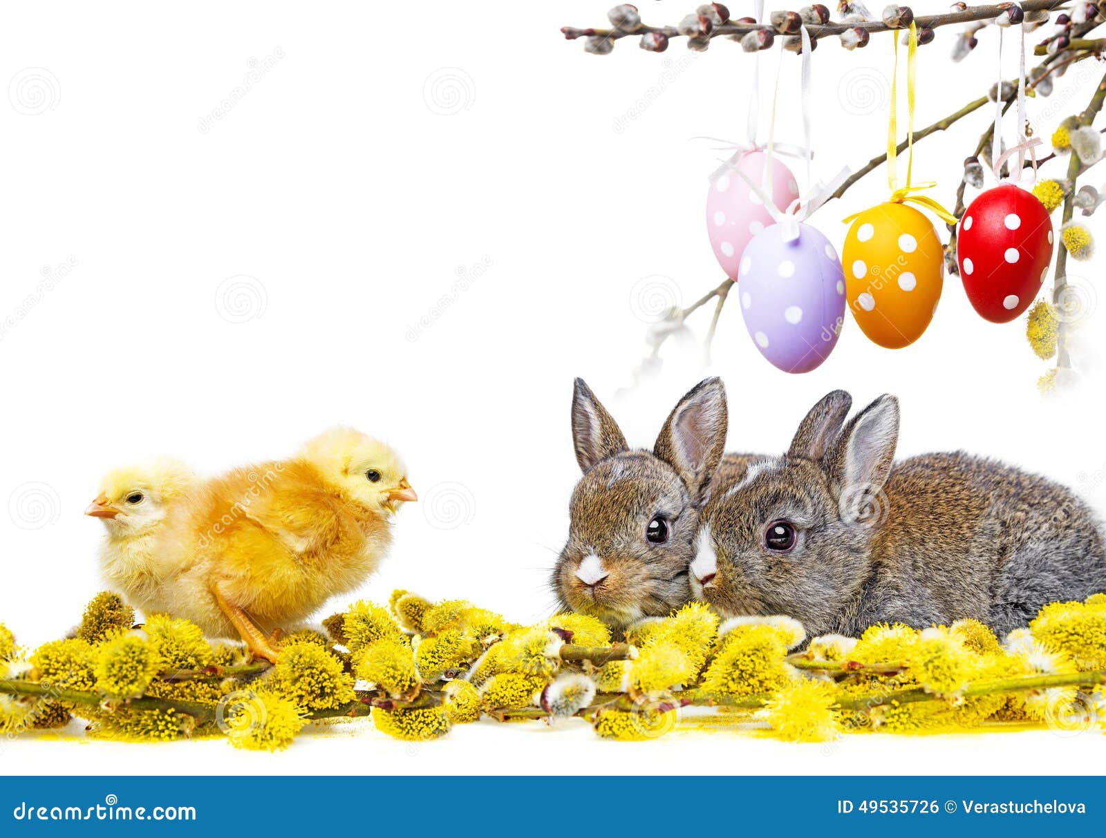 Spring animals stock photo. Image of brown, bunch, easter - 49535726