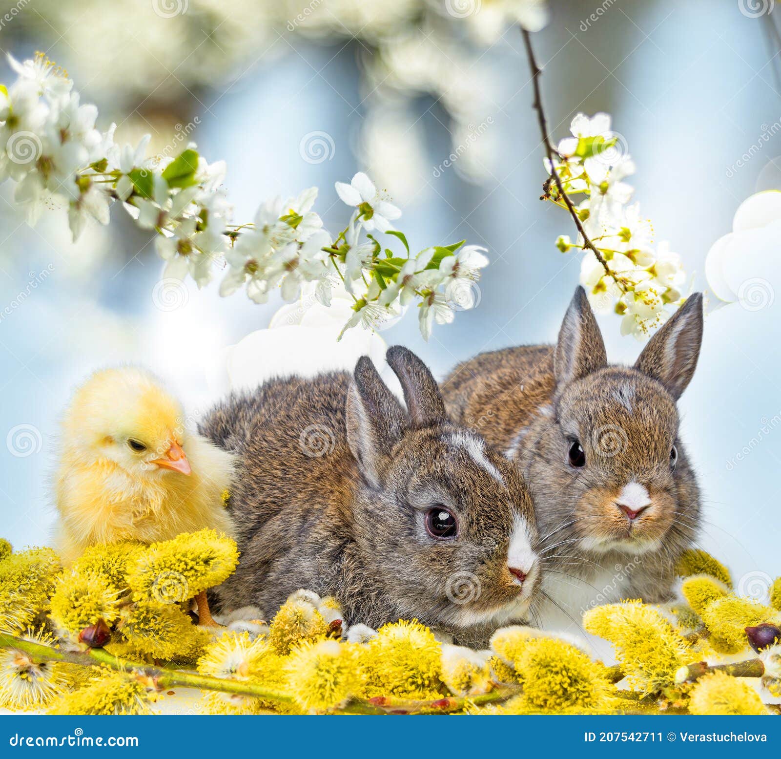 14,386 Spring Flowers Animals Stock Photos - Free & Royalty-Free Stock ...