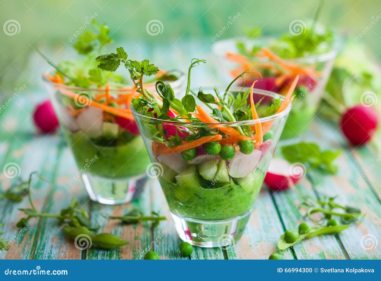 Spring appetizer stock photo. Image of food, salad, nutrition - 66994300
