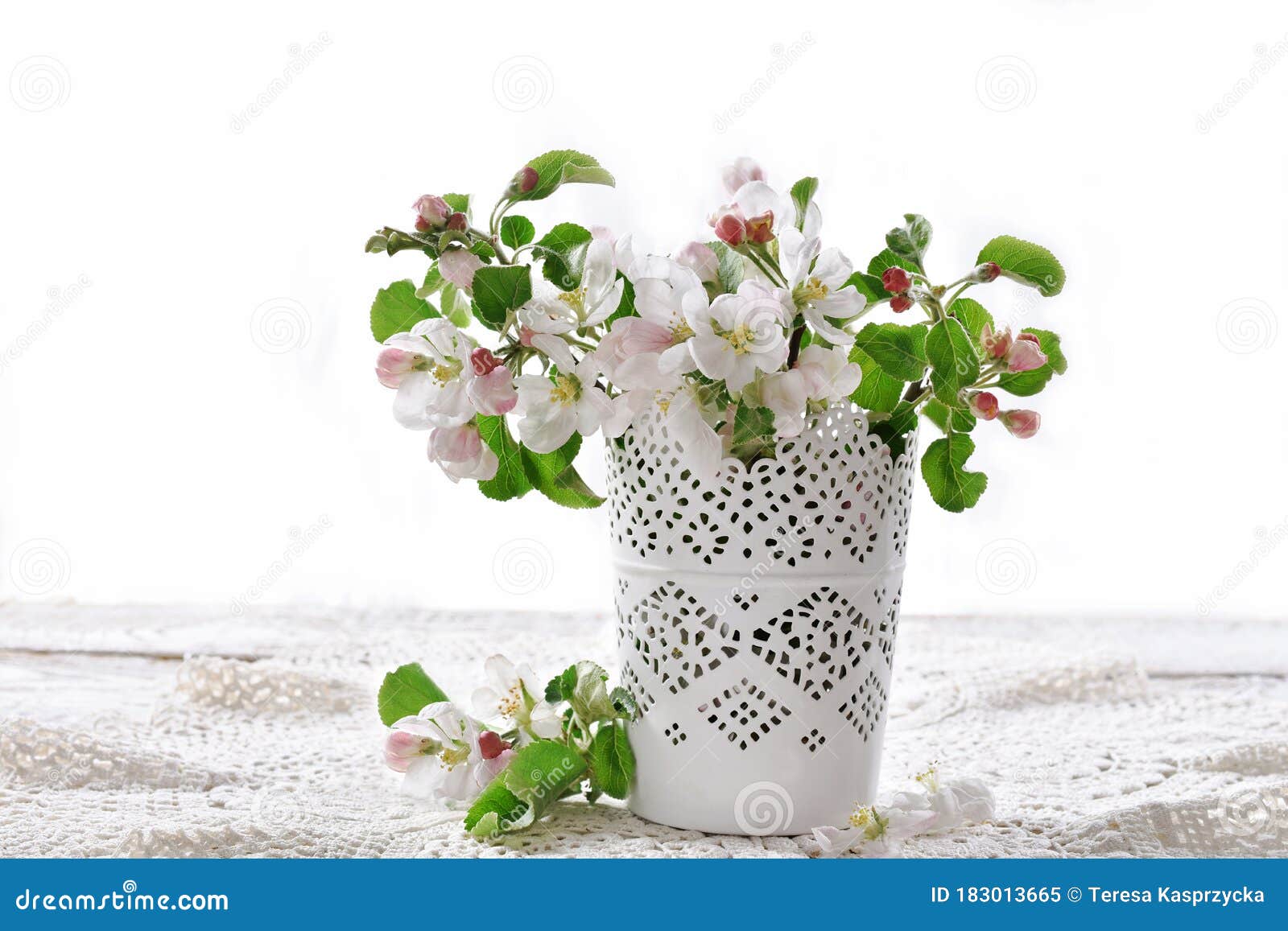 Spring Apple Blossoms in Vase Isolated on White Stock Image - Image of ...