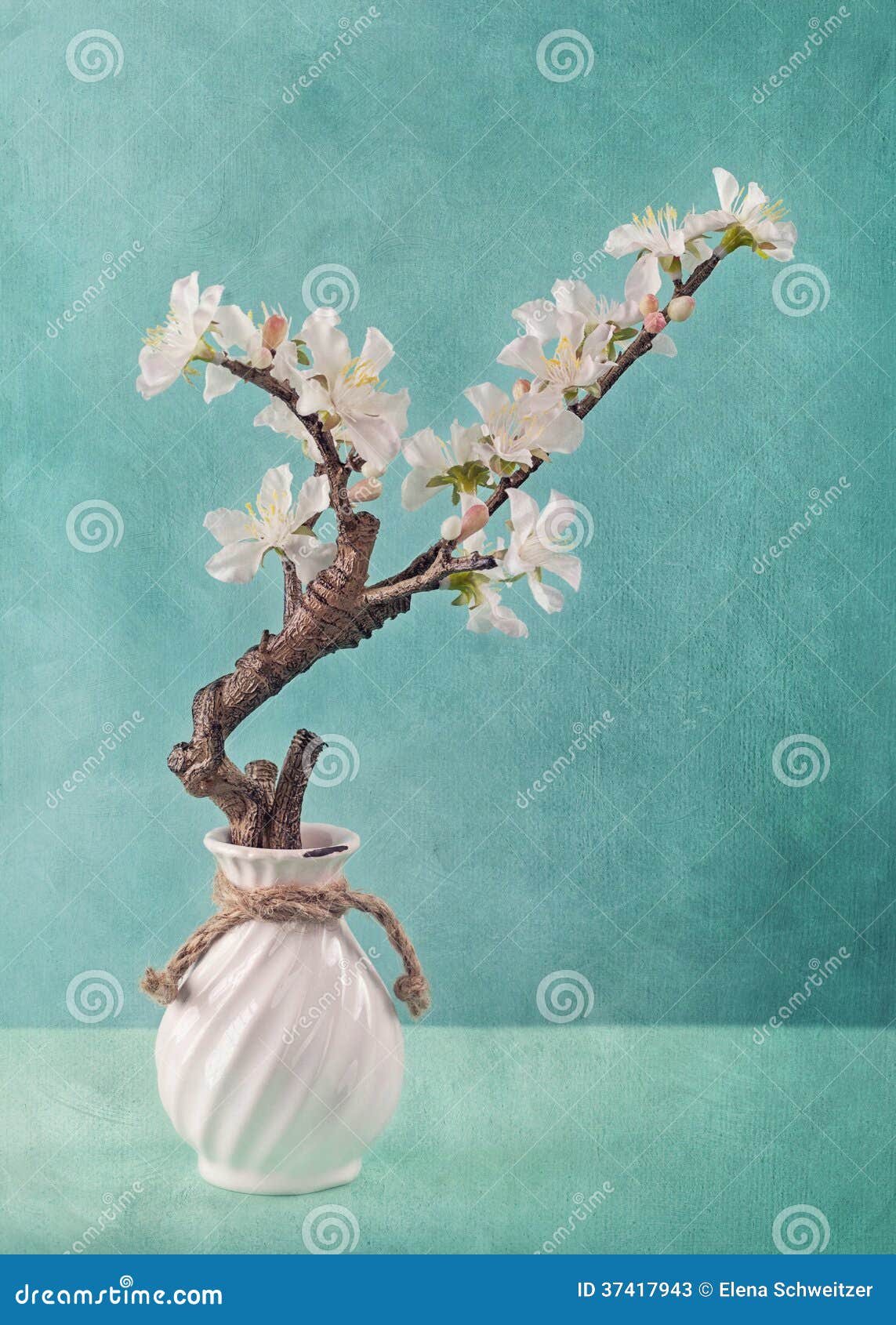 Spring apple blossoms stock image. Image of soft, flower - 37417943