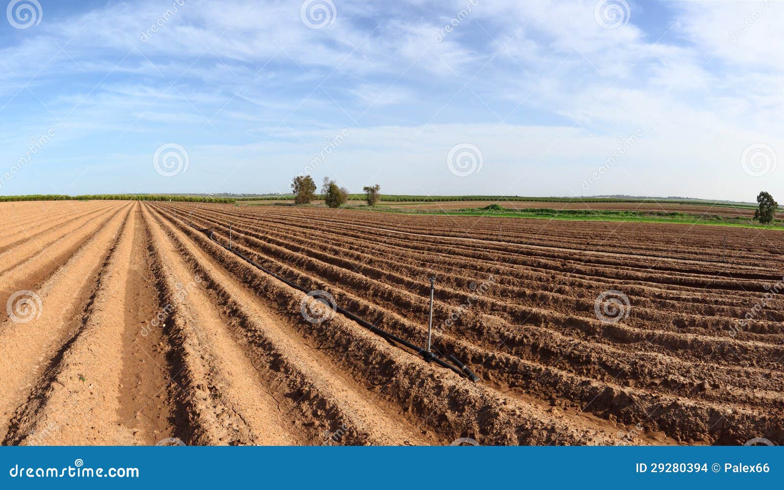 Spring arable land stock photo. Image of arable, beginning - 29280394