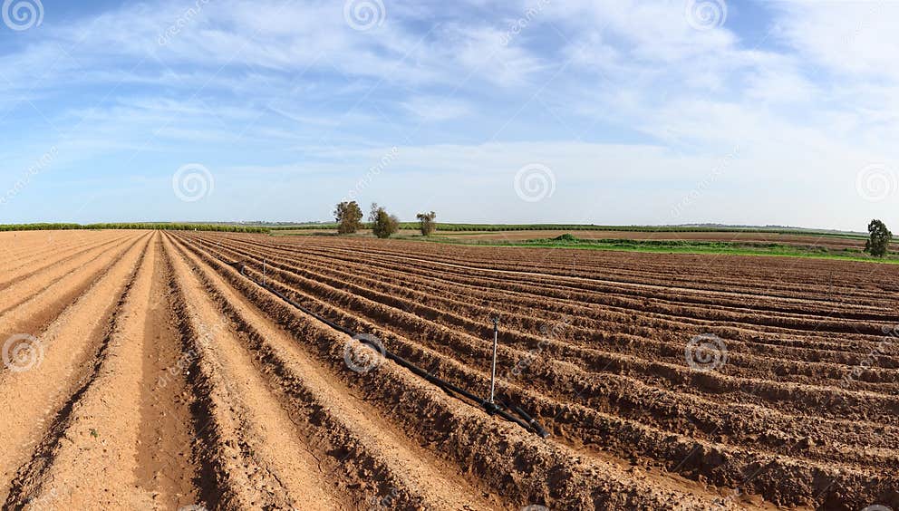 Spring arable land stock photo. Image of arable, beginning - 29280394