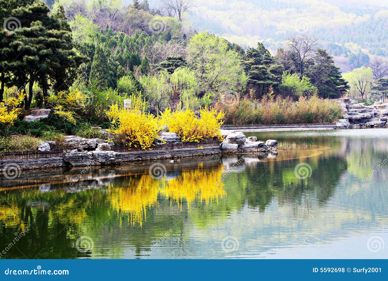 Spring Arboretum Picture. Image: 5592698