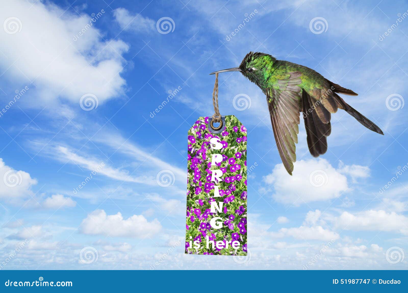 Spring arrival concept stock image. Image of sell, arrival - 51987747