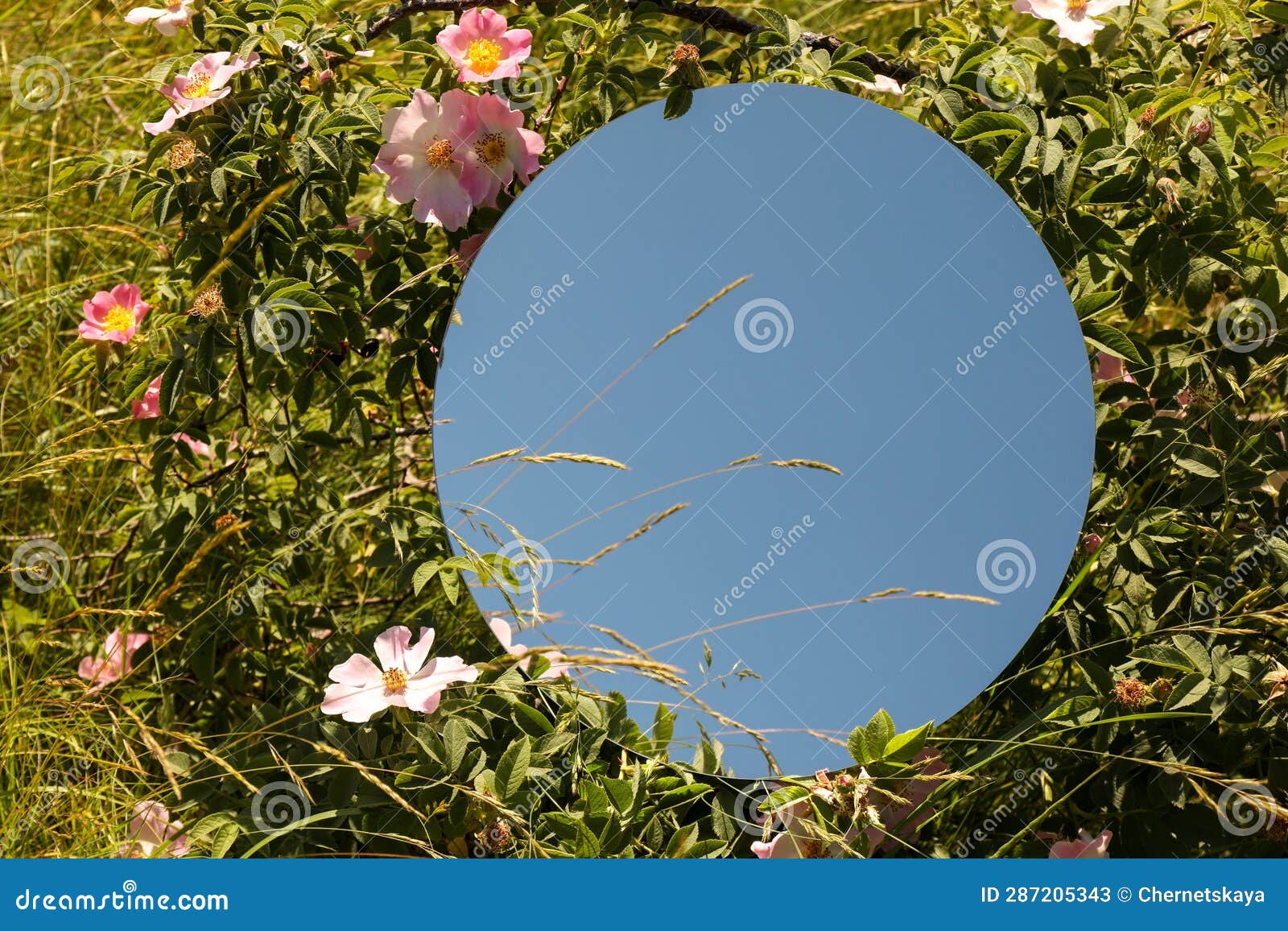 Spring Atmosphere. Round Mirror among Grass and Flowers on Sunny Day ...