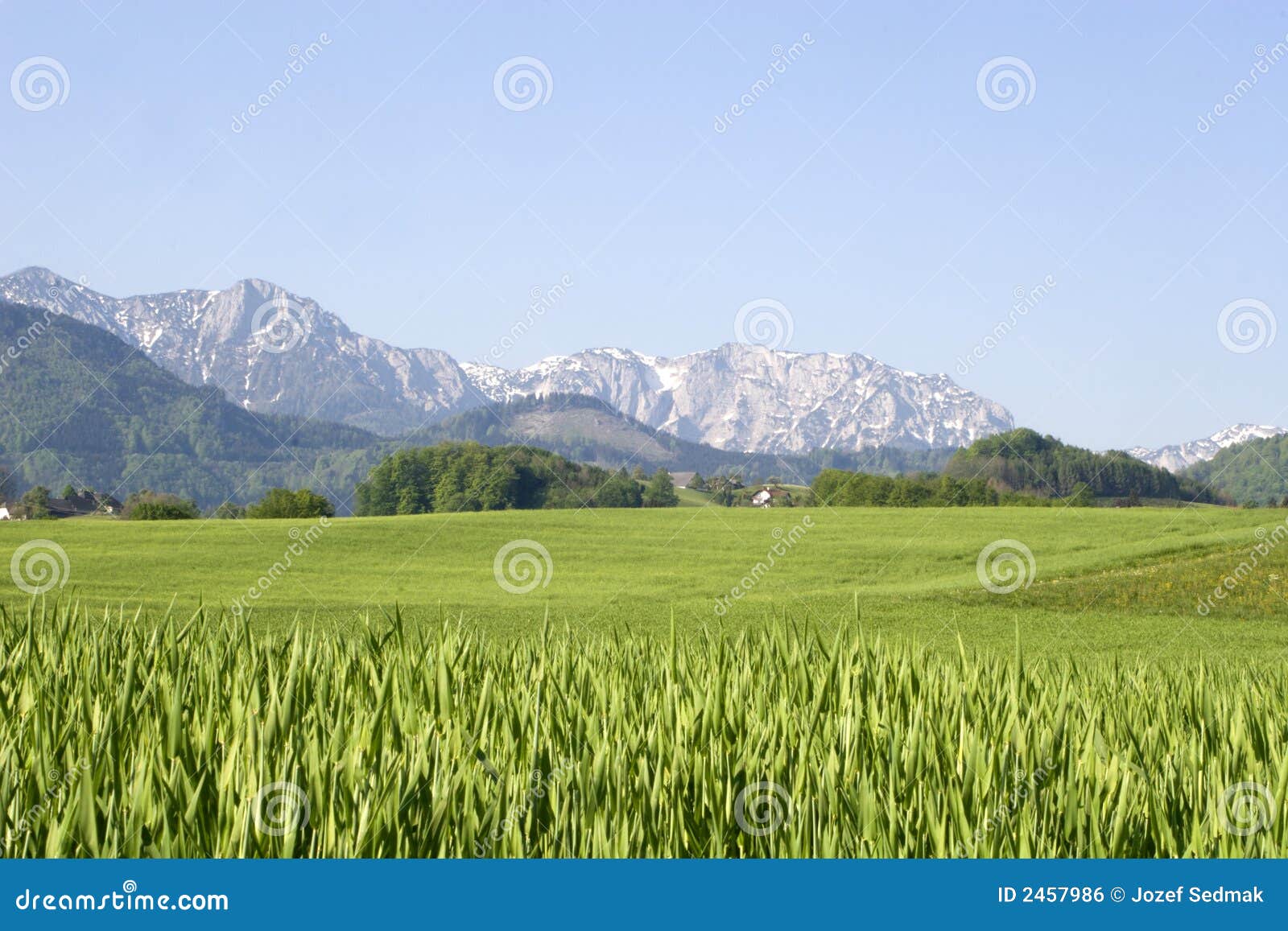 Spring in austria stock photo. Image of field, village - 2457986