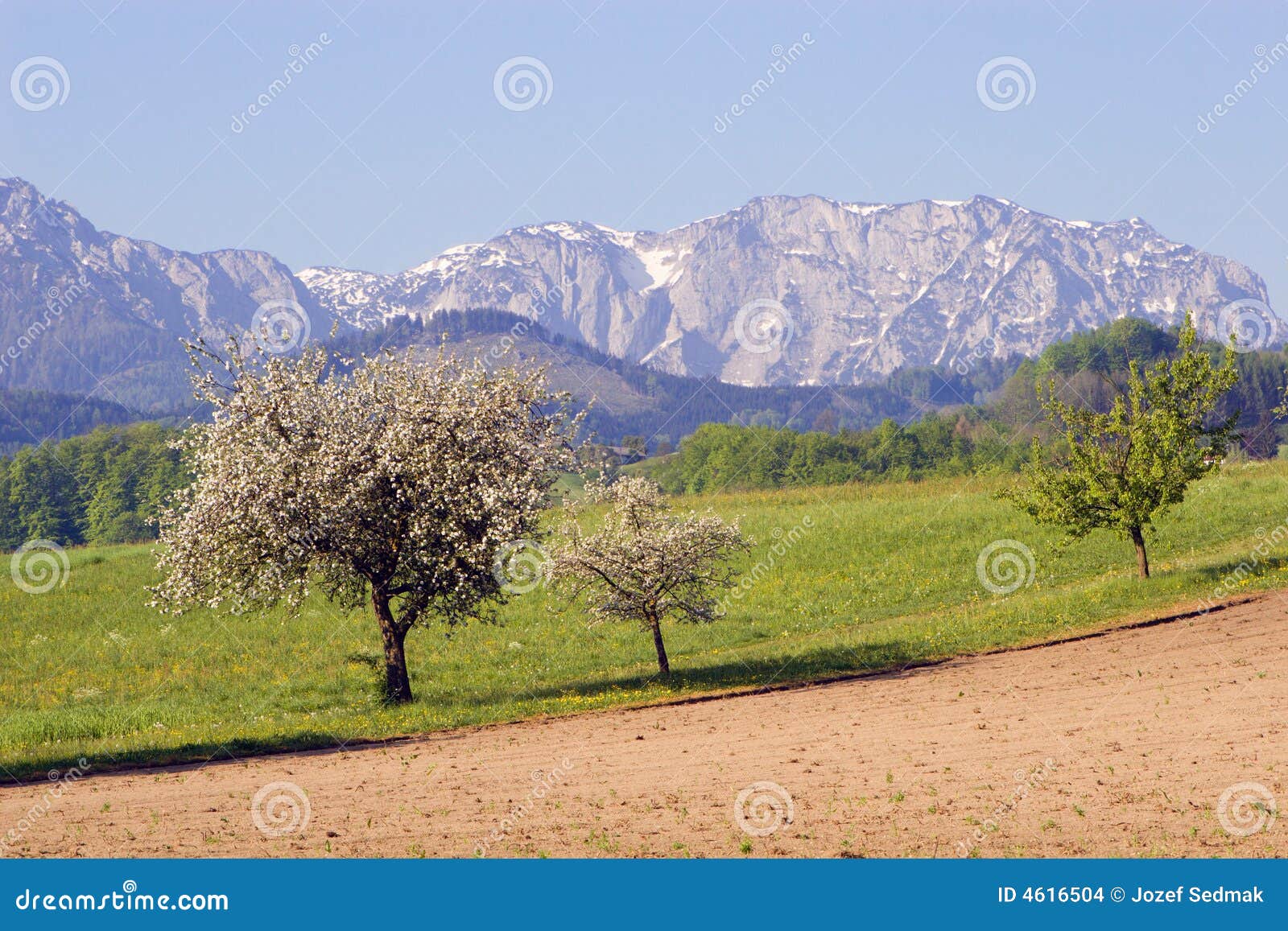 Spring in austria stock photo. Image of green, area, edge - 4616504