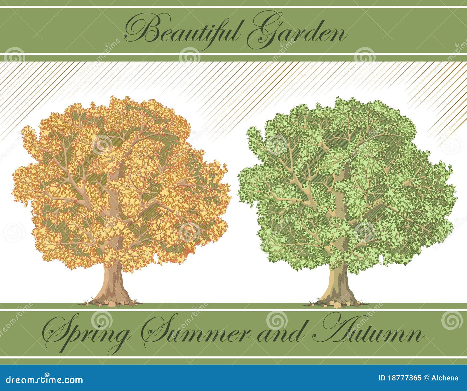 Spring and Autumn Detailed Trees -vector Stock Vector - Illustration of ...