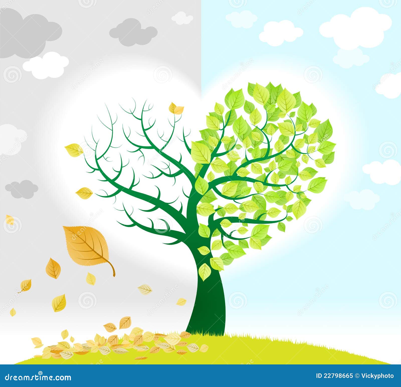 Spring and autumn tree stock vector. Illustration of branch - 22798665
