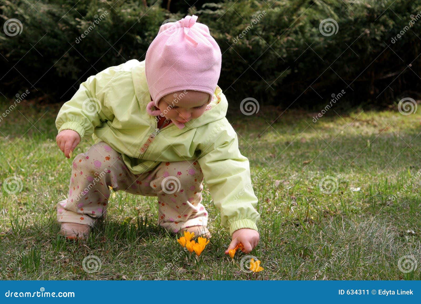 Spring baby stock image. Image of outdoors, explore, nose - 634311