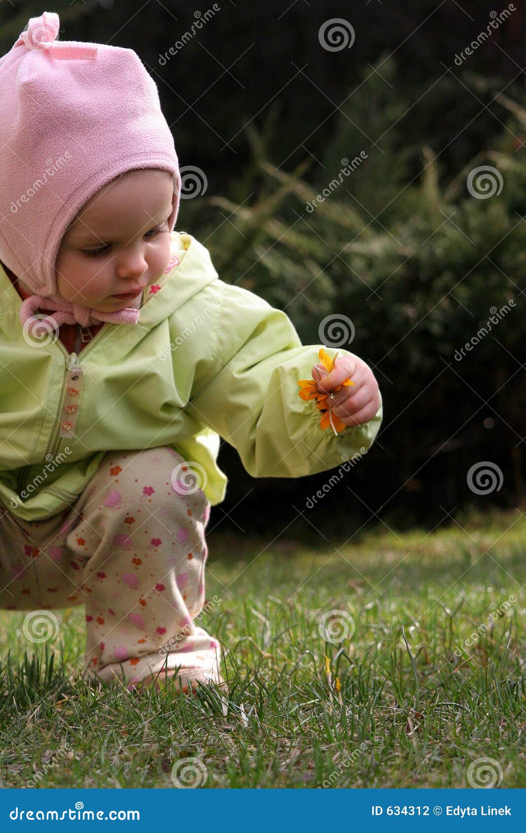 Spring baby stock photo. Image of holding, flowers, grow - 634312