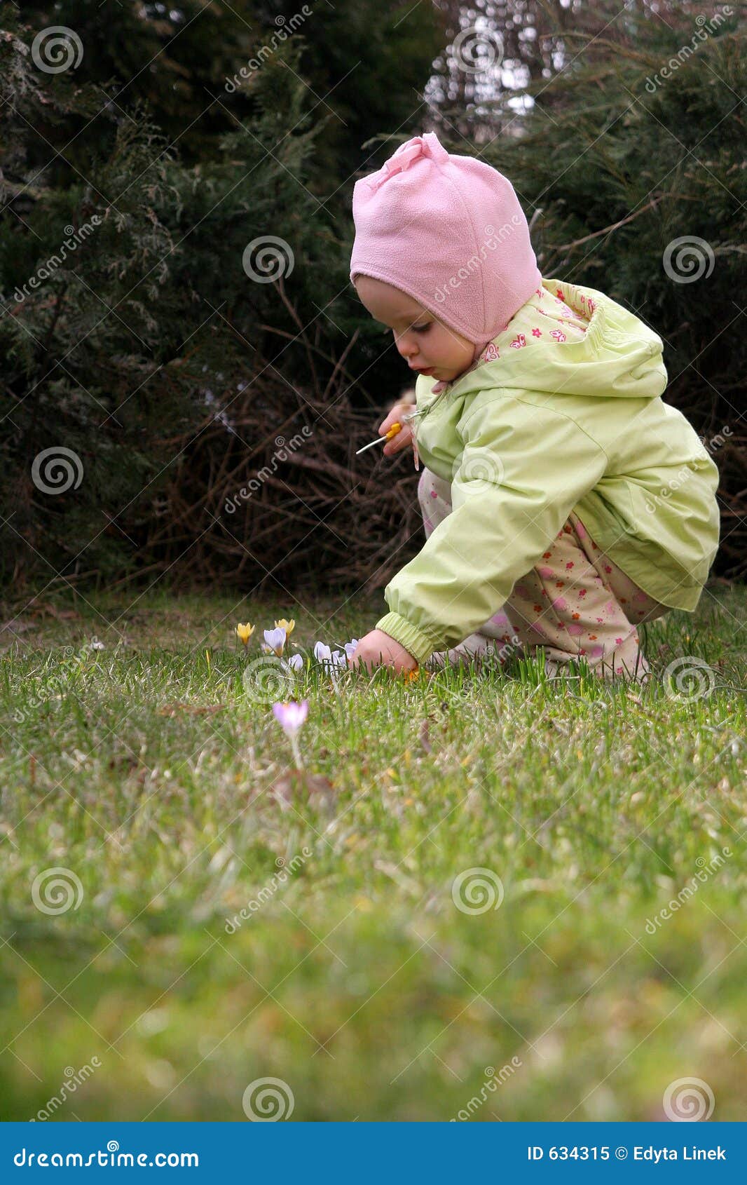 Spring baby stock image. Image of girls, hold, lawn, girl - 634315