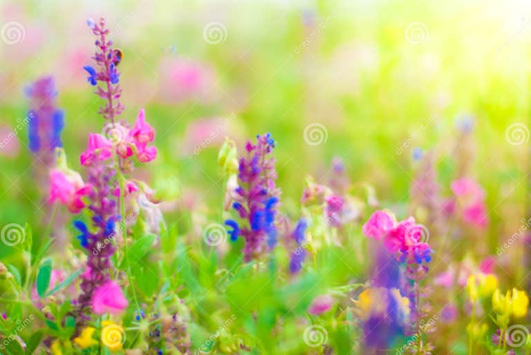 Spring background stock image. Image of bokeh, botanical - 18475809