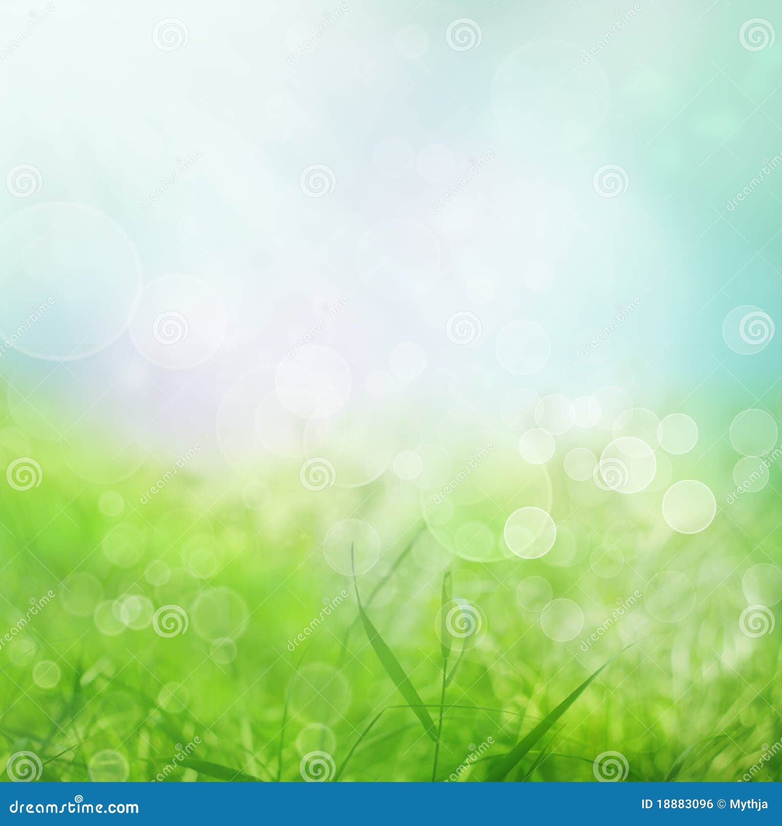 A Spring Background Of Green Budding Leaves. Royalty-Free Stock Photo ...