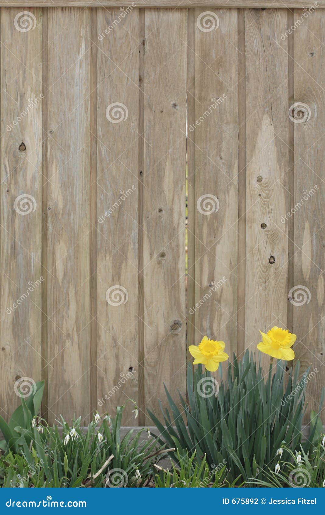 Spring Background Wallpaper Vertical