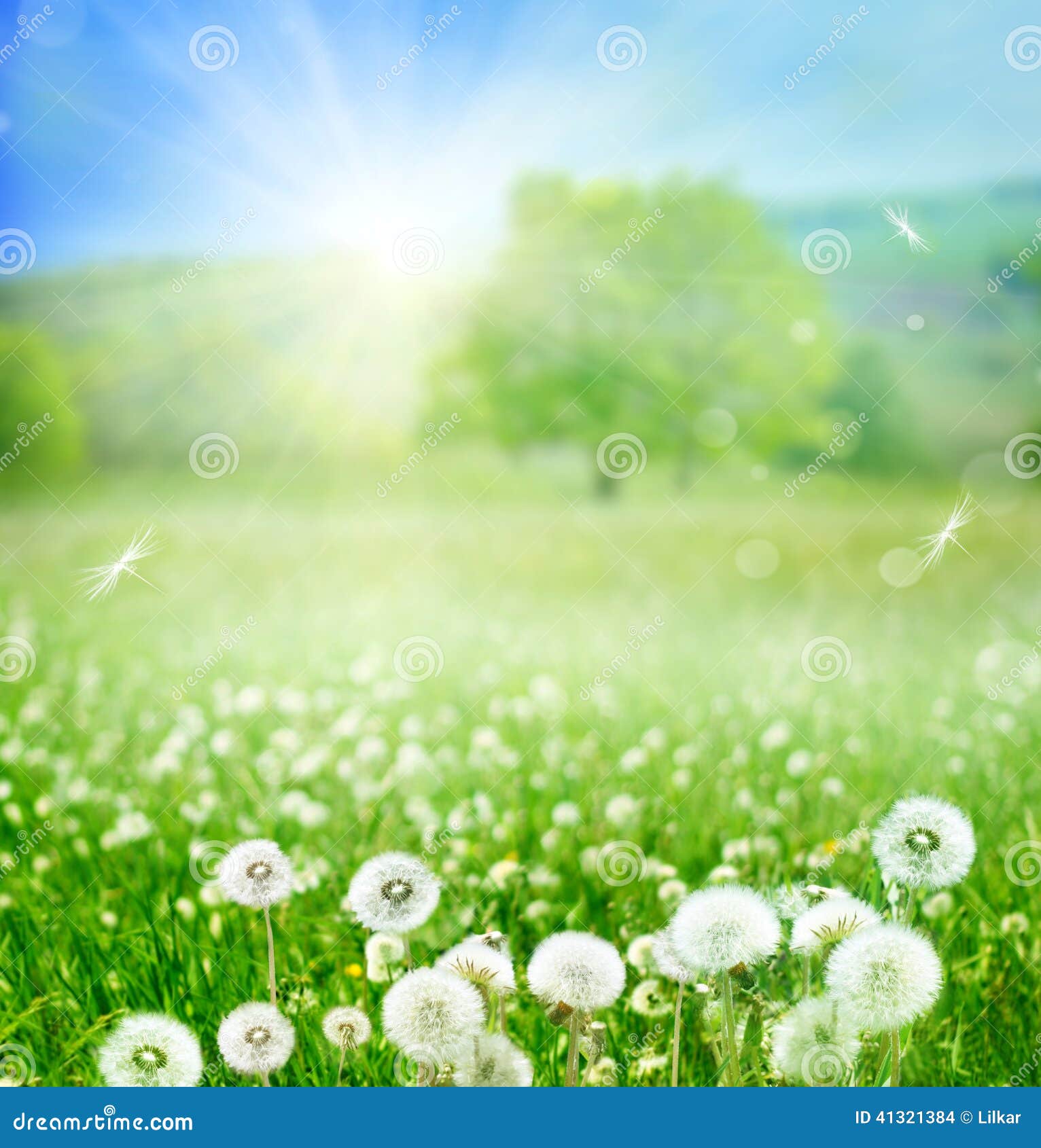 Spring background stock photo. Image of background, botanical - 41321384