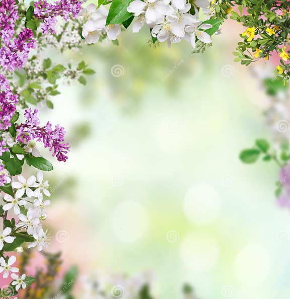 Spring background stock image. Image of floral, foliage - 32684259