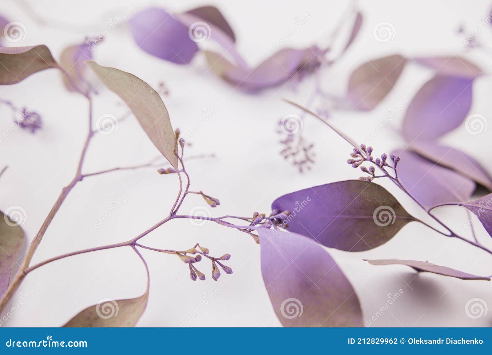 Spring Background of Beautiful Twigs with Moldings for Decor or ...