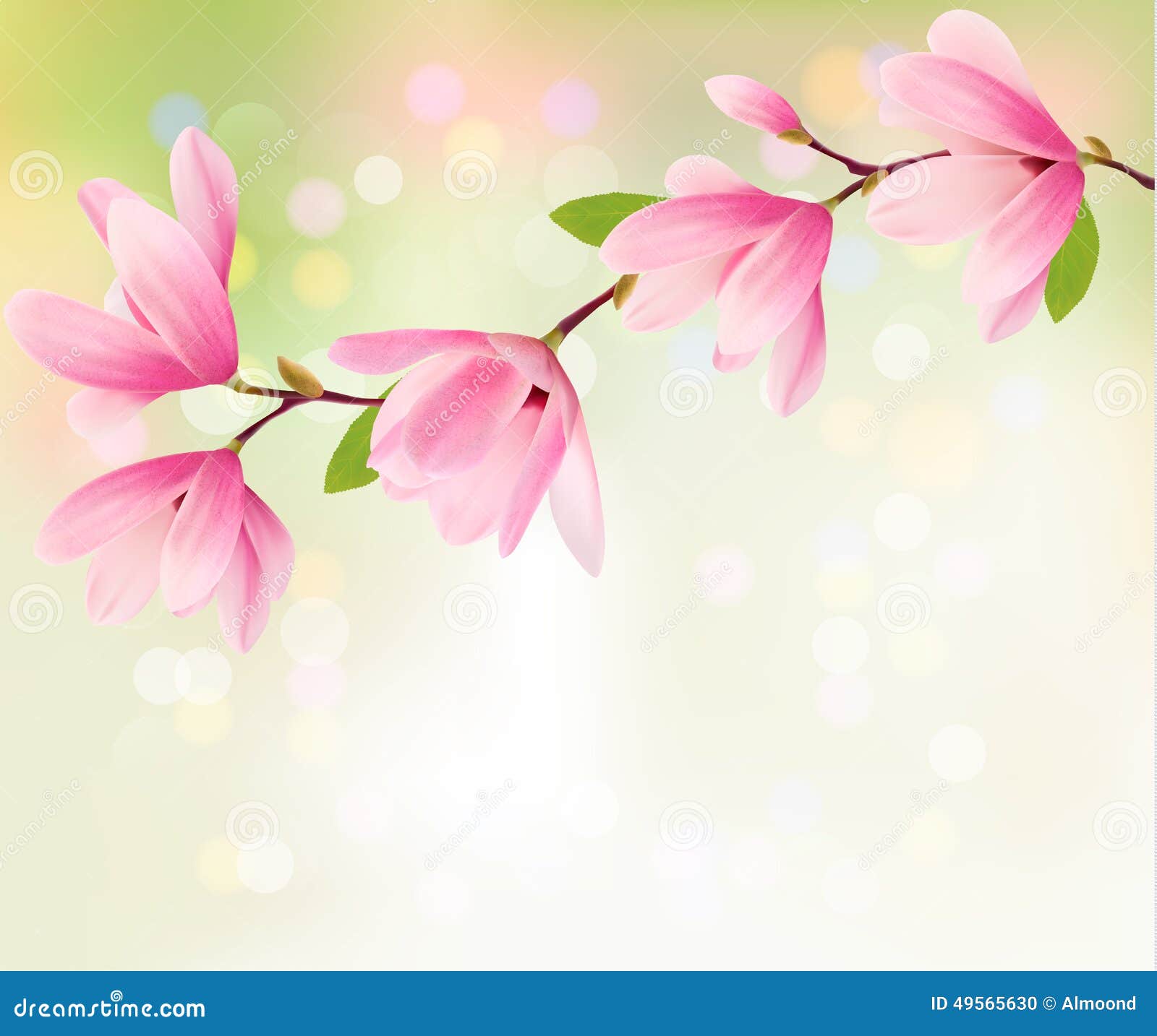 Spring Background with Blossom Brunch of Pink Flowers. Stock Vector ...