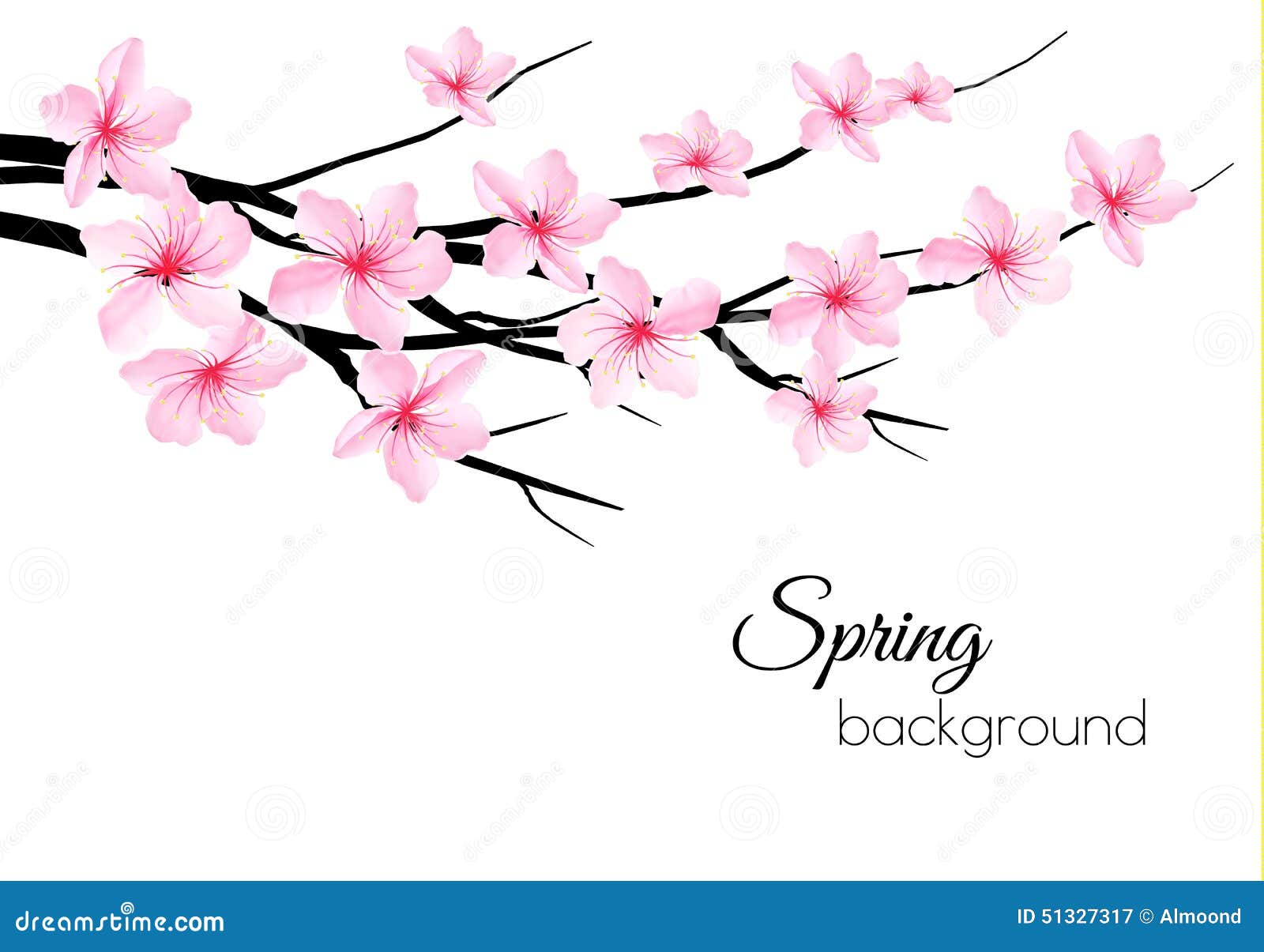 Spring Background with Blossom Brunch of Sakura. Stock Vector ...