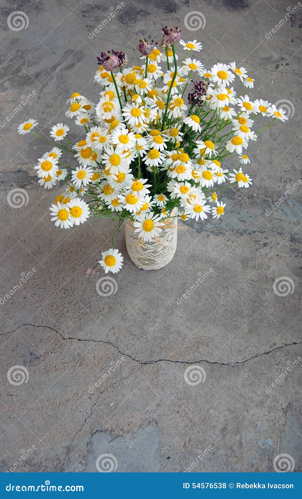 Spring Background with Daisies Stock Photo - Image of background ...
