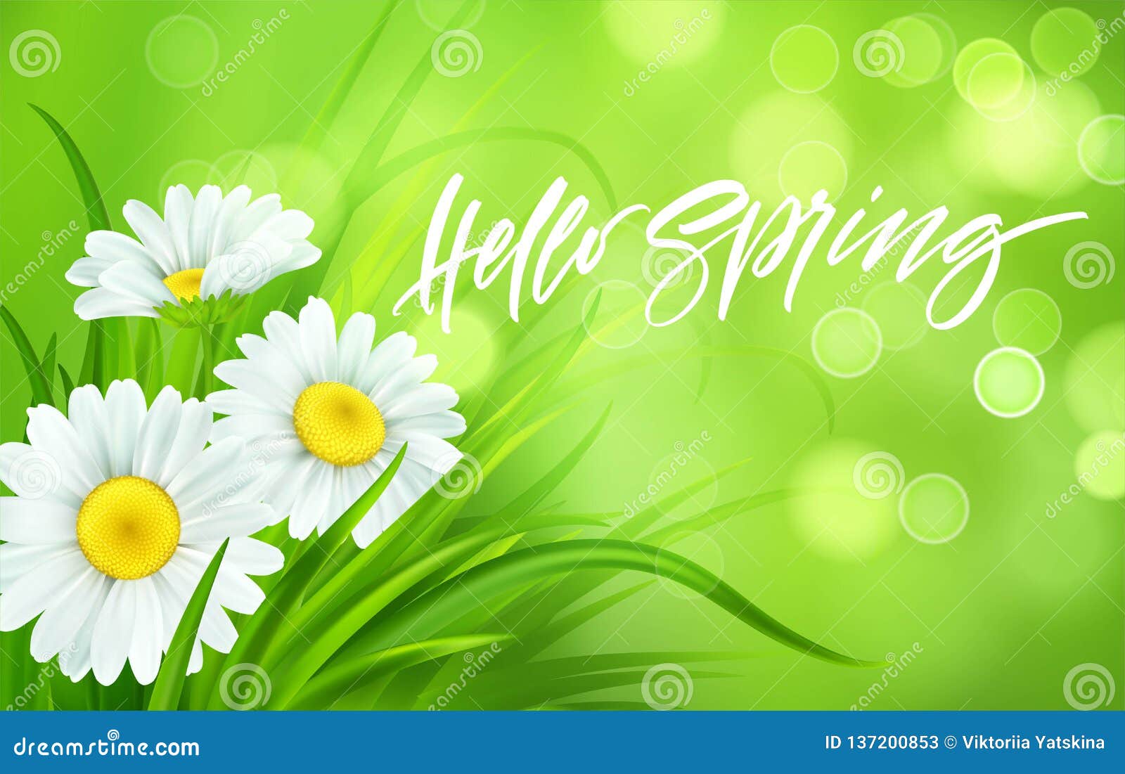 Spring Background with Daisies and Fresh Green Grass. Hello Spring ...