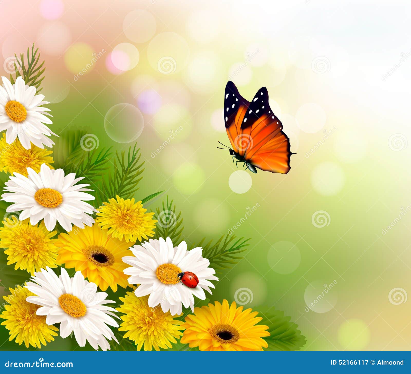 Spring Butterfly Wallpapers